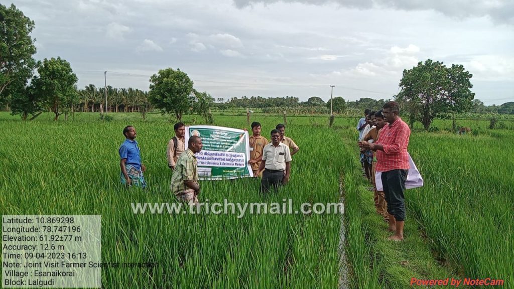 நெல் வயலில் விவசாயிகள் விஞ்ஞானிகள் கூட்டு ஆய்வு – Trichy mail